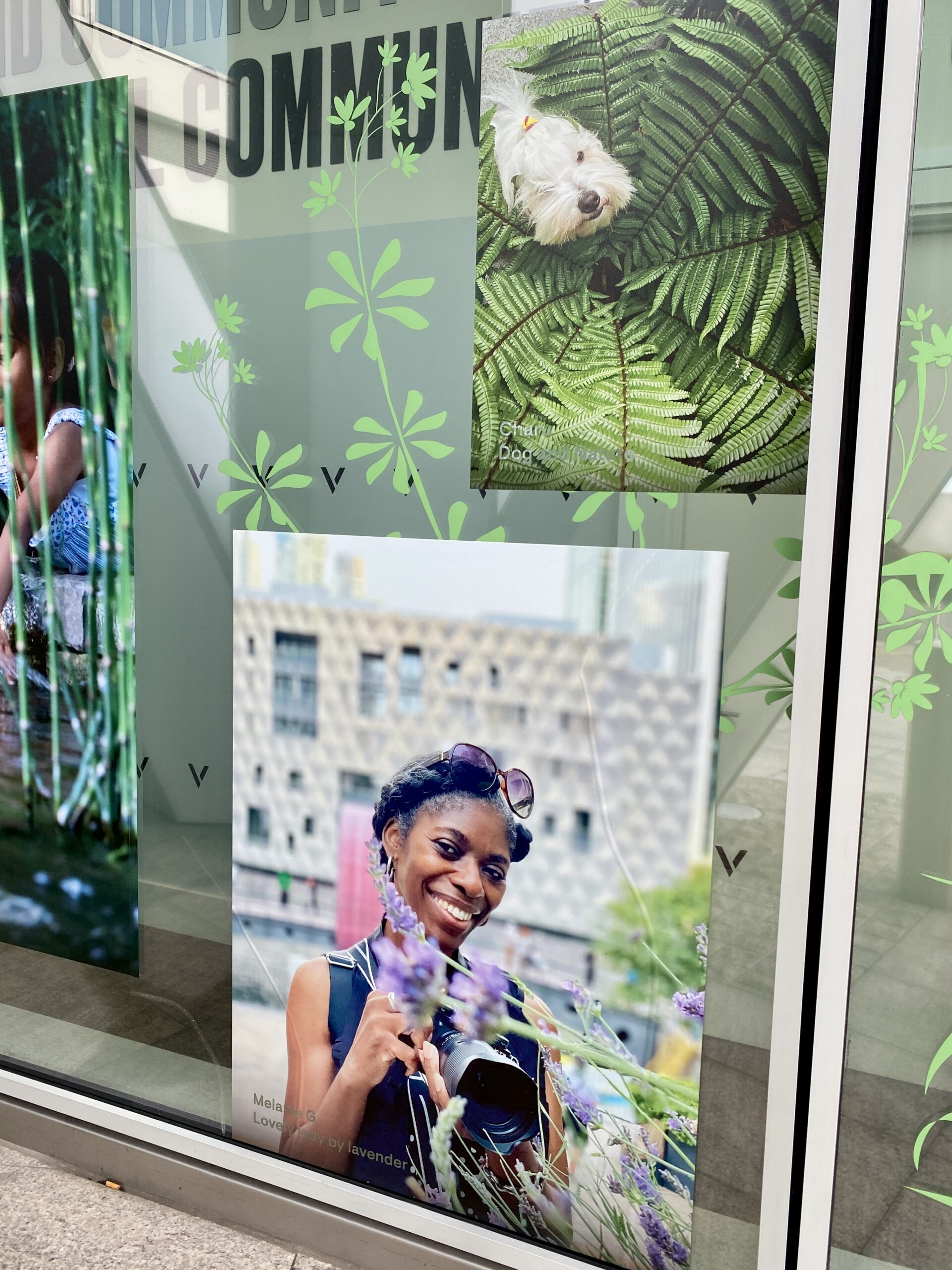 Celebrating Nature in Canary Wharf | Mindful Photo Lab